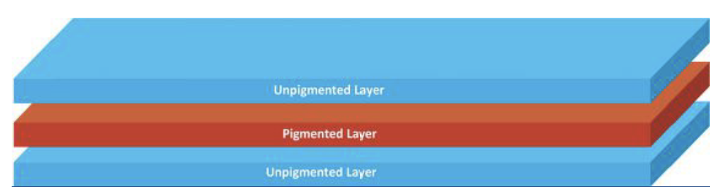 Extrusion coating vs. adhesive lamination: A comparison study